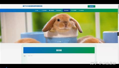开题报告 Python计算机毕业设计宠物领养管理系统附源码 知乎 开题报告 Python计算机毕业设计宠物领养管理系统附源码 知乎