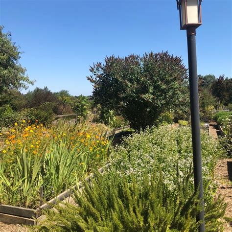 Quivira Vineyards And Winery Winery In Healdsburg