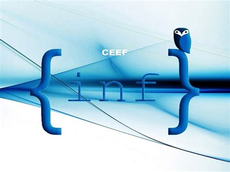 Informatică Ceef