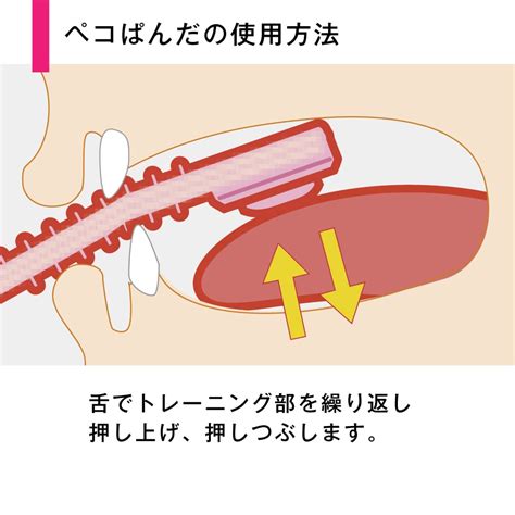 【楽天市場】【送料無料】gc 舌圧トレーニング用具 ペコぱんだ【1個】舌圧アップ 口腔筋トレ 高齢者 嚥下サポート 口腔ケアグッズ：オーラル
