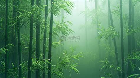 绿色梦幻的卡通竹林插画图片下载 正版图片402634990 摄图网