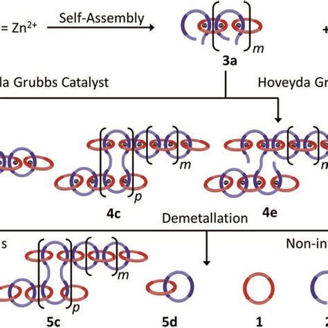Mixing Macrocycle 1 And Thread 2 In A 1 1 2 Ratio With Zinc