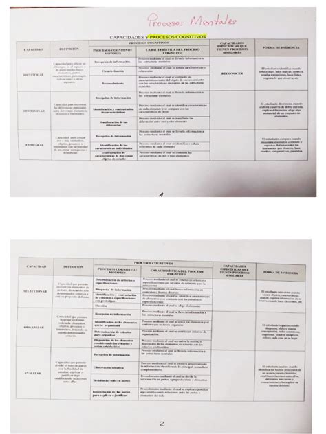 Procesos Mentales Pdf