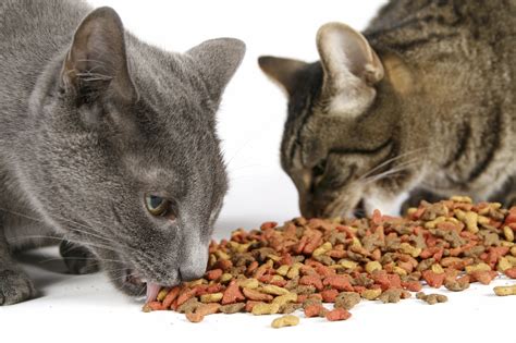 Cat Food In Farmfoods At Lillie Long Blog