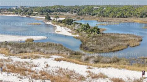 Mashed Sands From Gulf View — Bald Point Florida Fl United States