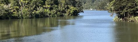 Upper Nihotupu Walk [closed] 416 Reviews Map Auckland New Zealand