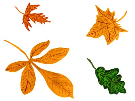 Leaves Autumn Watercolor · Free Image On Pixabay