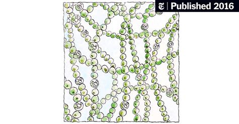 Why Do Algae Grow In Ponds In Warm Weather The New York Times