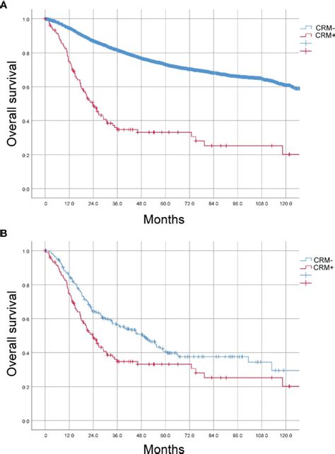 Incidence Predictors And Prognostic Implications Of Positive