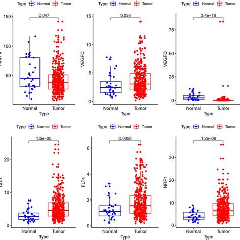 The Mrna Expression Levels Of Vegf Vegfr Members In Stad Tcga The