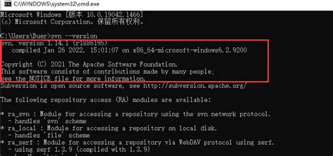 Windows系统visualsvn Server下载安装和配置 Csdn博客