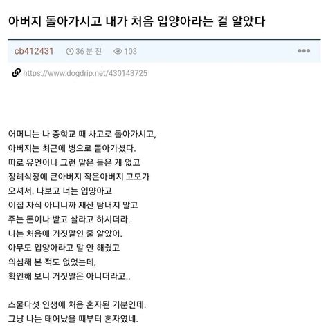 25살이 되어 자기가 입양된 사실을 알게 된 사람 유머움짤이슈 에펨코리아