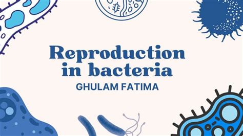 Sexual And Asexual Reproduction In Bacteria Pdf