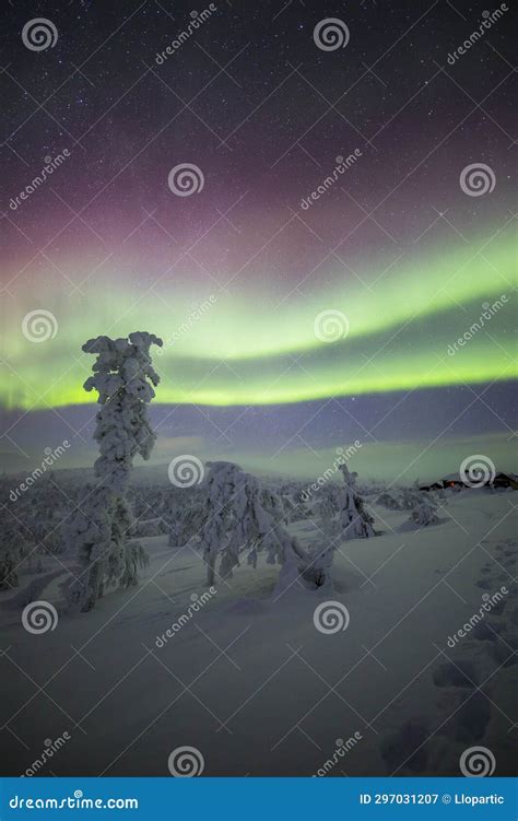 Northern Lights In Pallas Yllastunturi National Park Lapland Finland Stock Image Image Of