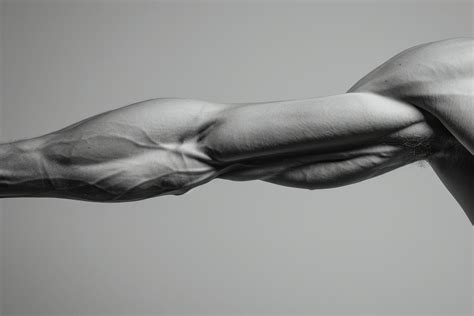 Understanding Epicondyle Tendinitis Causes And Eccentric Loading For