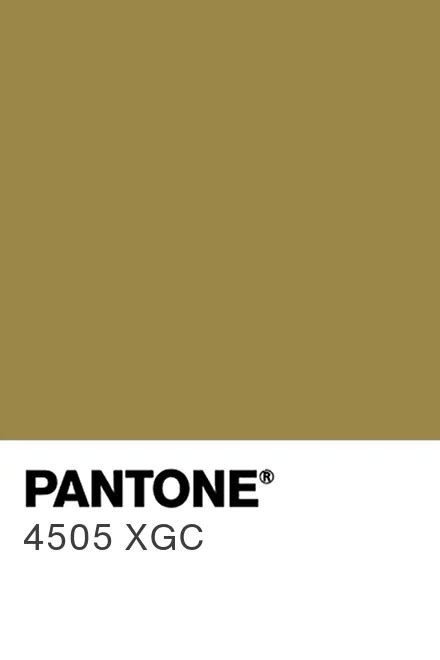 Pantone 4505 Xgc Pantone色号库 Pantone潘通中国官网
