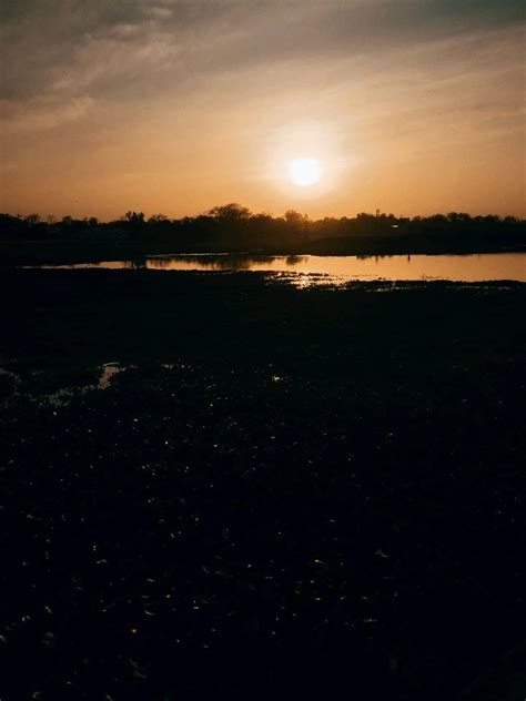 Ovaish Khan On Linkedin Today I Learned Something New About Fear Fear Is The Reflection Of