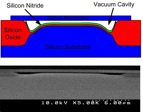 Schematic Cross Section Of A Cmut Cell Top And The Corresponding Sem Download Scientific