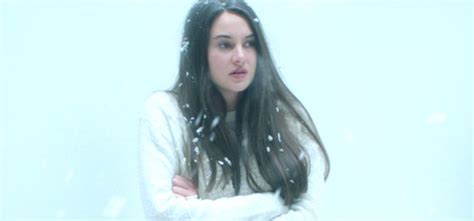 White Bird In A Blizzard News24