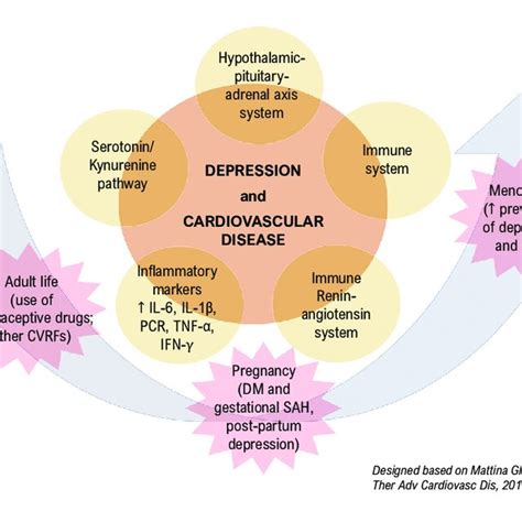 Pathophysiology Of Depression And Cardiovascular Disease Download Scientific Diagram