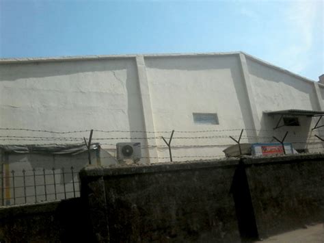 Sun Dappled Wall Illustrated Poetry