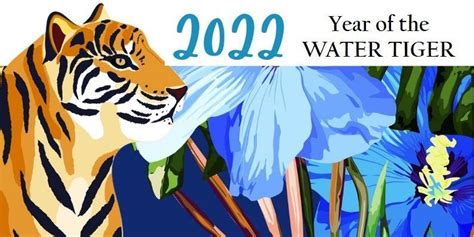 Ownit Hearmeroar Energy Newyear Transformation Leadership 🌳