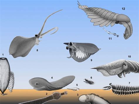 The First Complex Ecosystems Encyclopedia Of The Environment