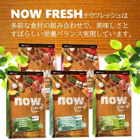 Now Fresh ナウフレッシュ 犬 小型犬 成犬 ドッグフード ドライ スモールブリード フィッシュアダルト グレインフリー 350g×6