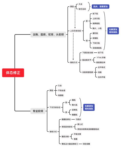 xmind 新手入门完全指南 三分钟get一项新技能 知乎