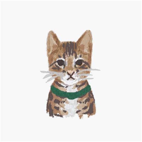 Orange Tabby Personalized Stationery Set Rifle Paper Co