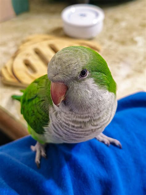 내 백옥같던 손이 오덕양성소 에펨코리아