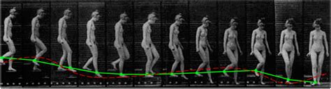 Training Classifiers With Shadow Features For Sensor Based Human
