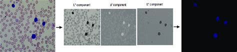 Example Of Rgb To Lab Conversion And Segmentation Result Download