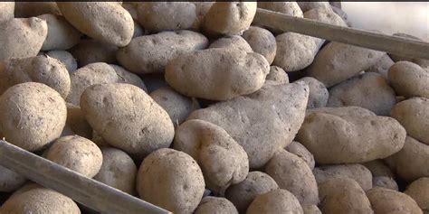 Dhhs And Usda Confirm Potatoes Are Vegetables
