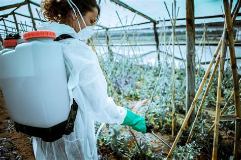 What Is The Integrated Pest Management Ipm Program