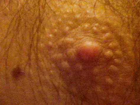 Tendu Porn Pictures Xxx Photos Sex Images 2077567 Pictoa