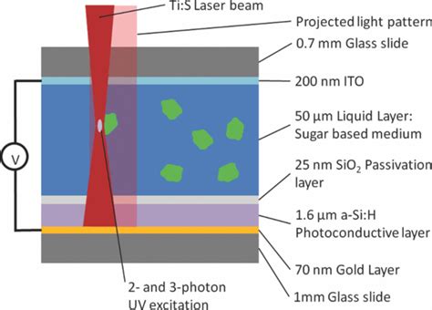 Cross Section Schematic Of An Optofluidic Manipulation Device The