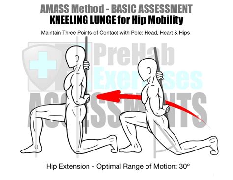 Basic Assessments And Movement Evaluations For Runners Prehab Exercises