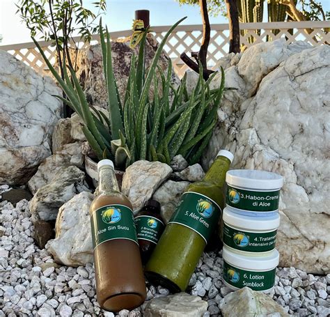 Miss Youth Aruba Ban Recorda Nos 3rd Runner Up Nan 👑 • 2016 Gennelay Wever Noord • 2017