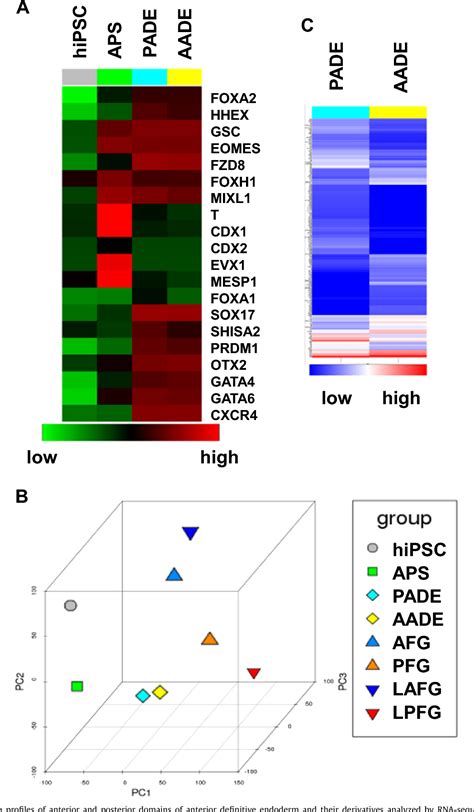 Figure 1 From Redefining Definitive Endoderm Subtypes By Robust