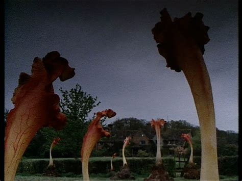 From The Archive A British Television Blog Triffid Take Over The Day