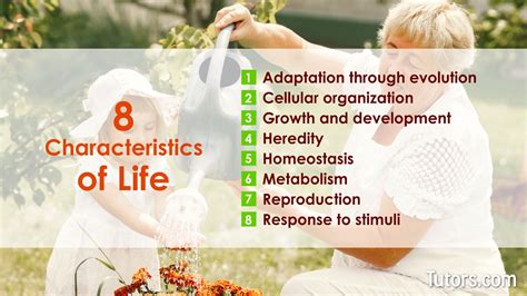 Characteristics Of Life Biology Qtzt