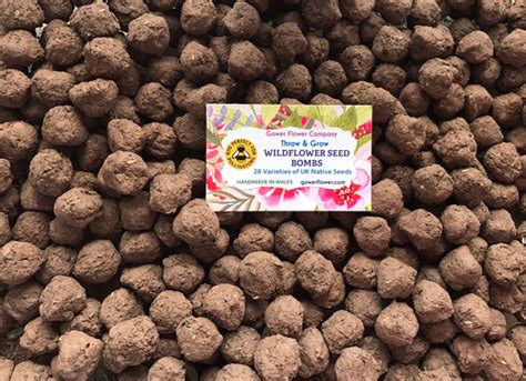 Buy 80 Wildflower Seed Bombs Online