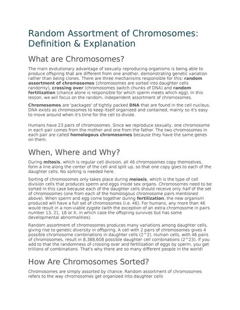 Random Assortment Of Chromosomes Random Assortment Of Chromosomes