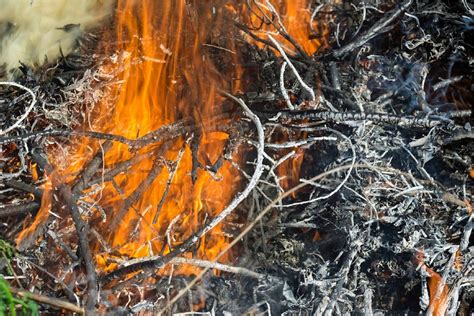 Residents Of Behchoko Told To Evacuate To Yellowknife Nnsl Media