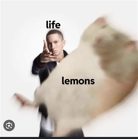 When Life Gives You Lemons R Memes Eminem Throwing Things Know Your Meme