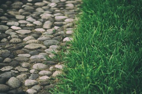 Premium Photo Close Up Of Grass