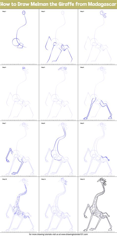 How To Draw Madagascar Giraffe