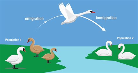 Emigration Biology 19 Island Biogeography And Conservation Biology