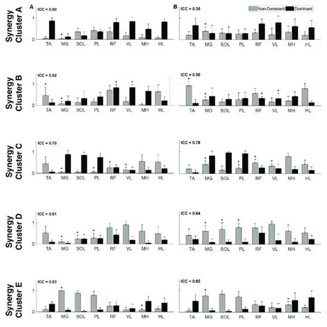 Muscle Synergy Activations Mean Standard Deviation Activation